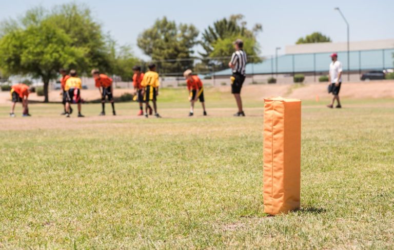 Tocho Bandera: Todo lo Que Debes Saber | Colegio Del Valle